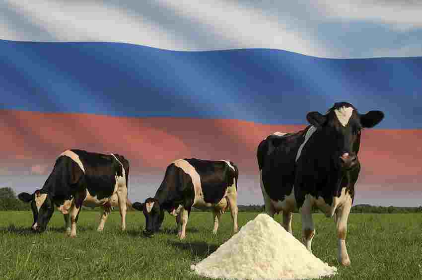 Russian Russia Increases Dry Milk & Whey Output in 2025 - China Informatics